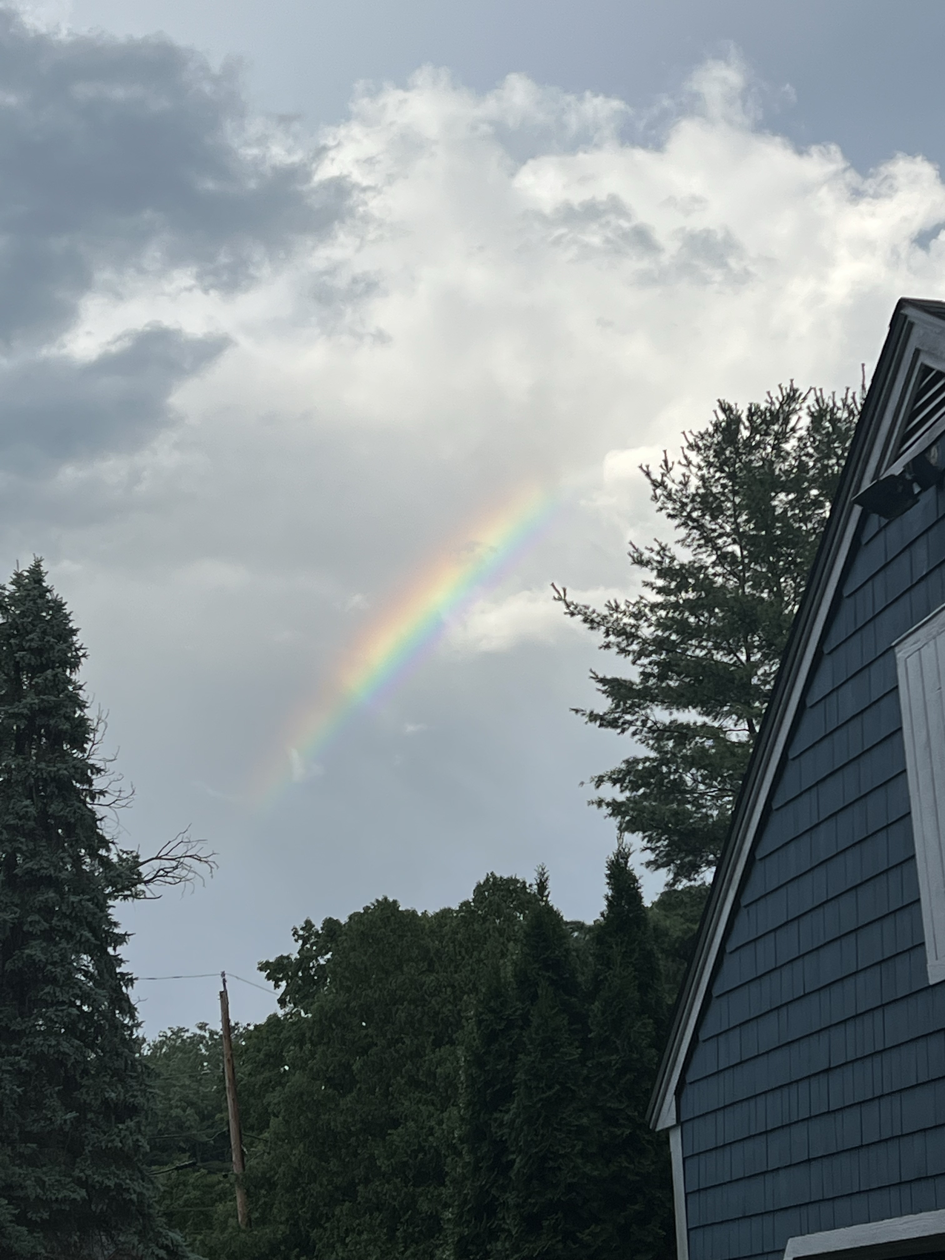 Rainbow shard | Boz Bozeman