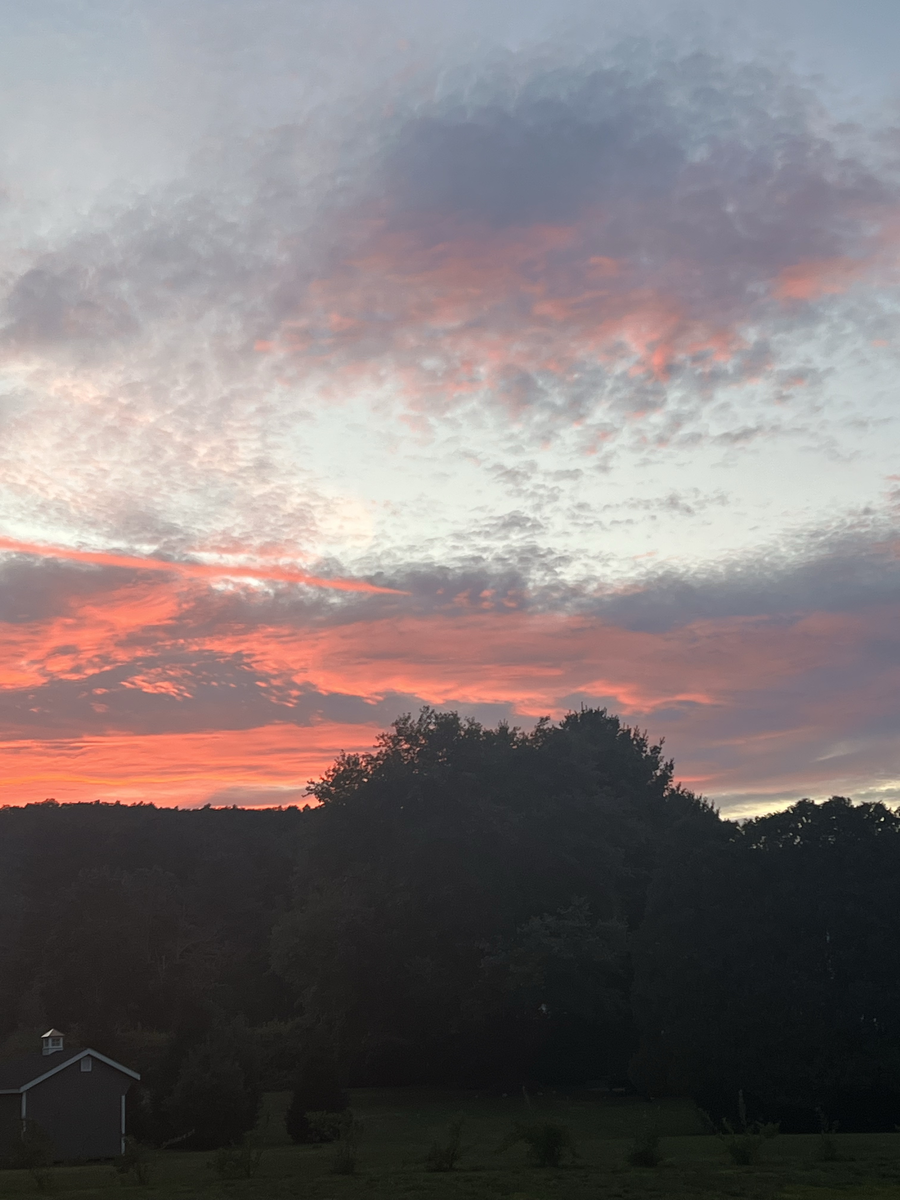 Sunset | Mark Bozeman