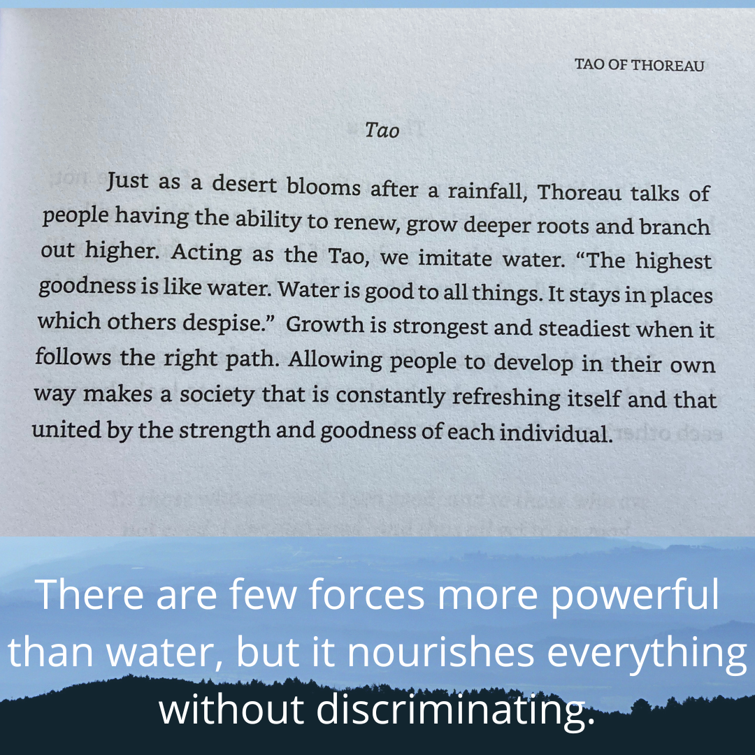 Excerpt from Tao of Thoreau | Mark Bozeman