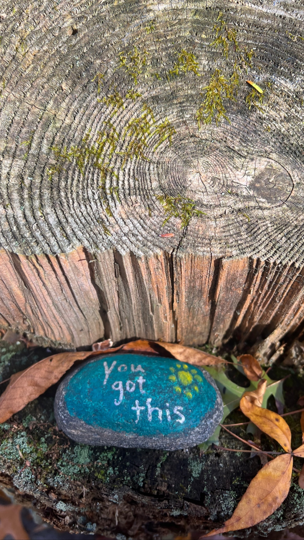 You Got This | Mark Bozeman