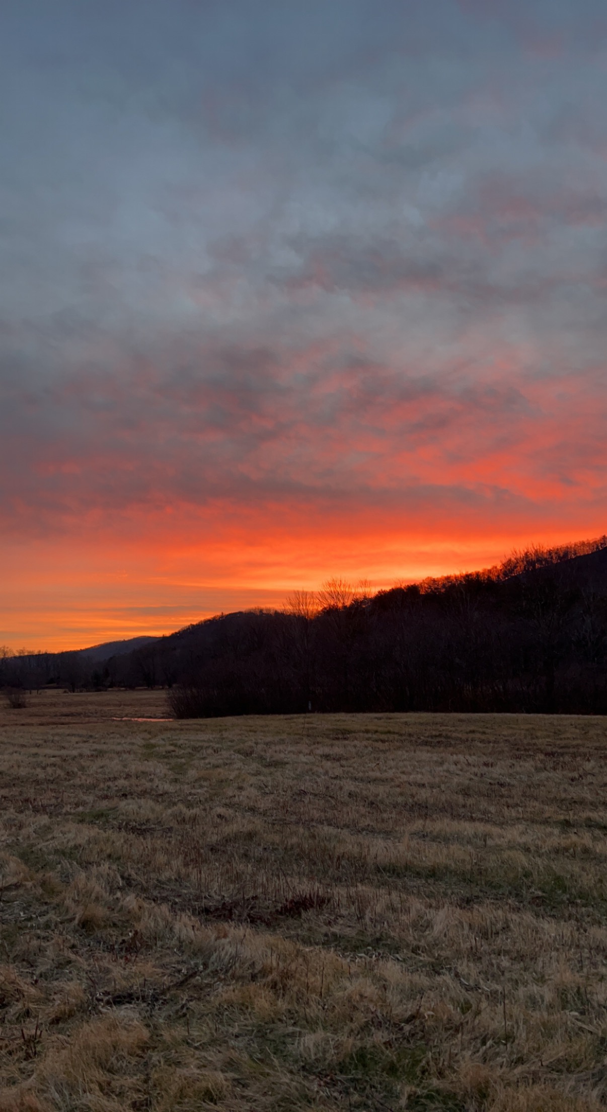 Sunrise or sunset? | Mark Bozeman