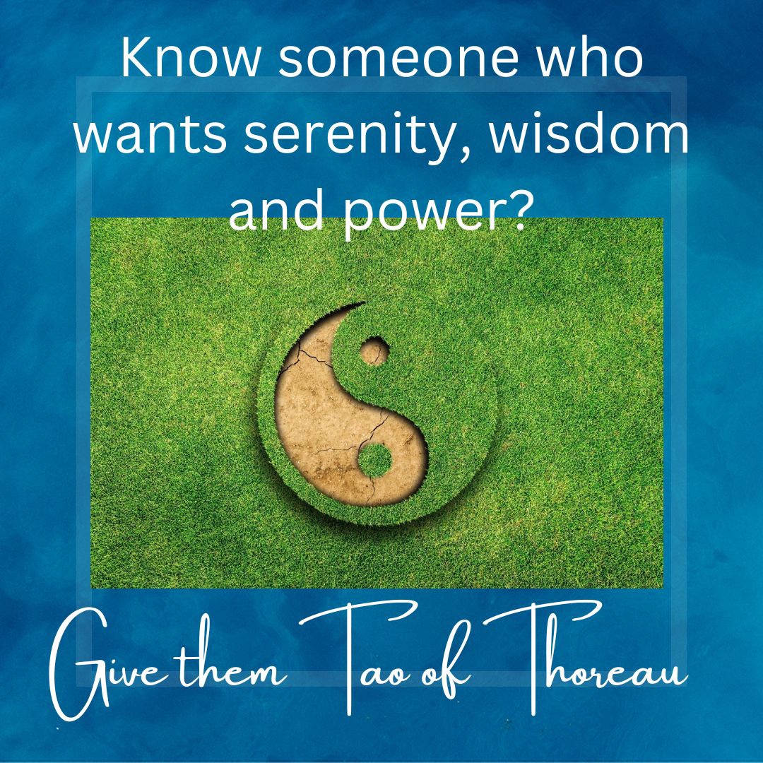 Need a holiday gift? | Mark Bozeman